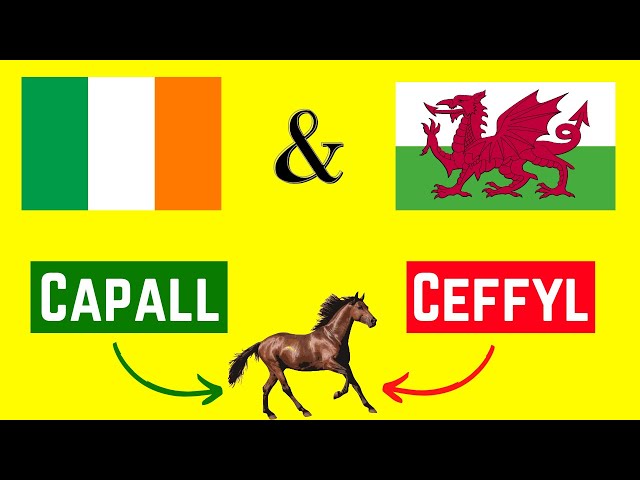 20 Words In Irish & Welsh – iTV.ie