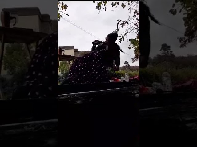 Episode one of what’s occurring news with Loopy Lou at Stradey Park ...