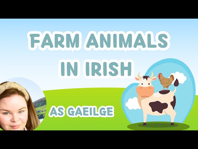Farm Animals in Irish; Irish for babies and toddlers video – iTV.ie