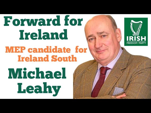 “In Euro elections, we have a cracking chance to win – Ireland South ...