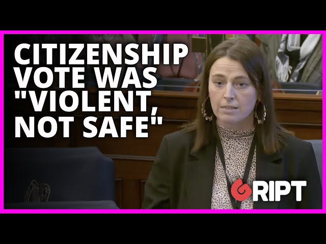 Sen Lynne Ruane says the 2004 Citizenship Vote was “Violent, Not Safe ...