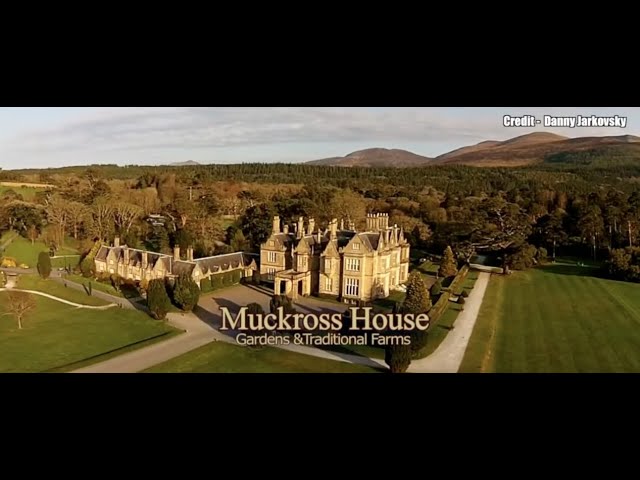 Walter Ryan Purcell speaking about The Kingdom – iTV.ie