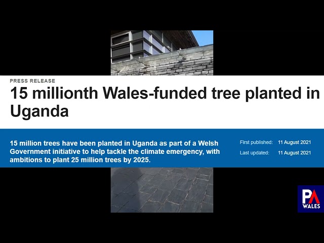 Welsh Government spends millions on planting trees in Uganda – iTV.ie