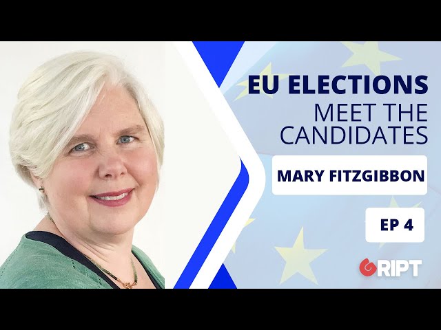 Meet the Candidates: Mary Fitzgibbon, Independent, Ireland South ...