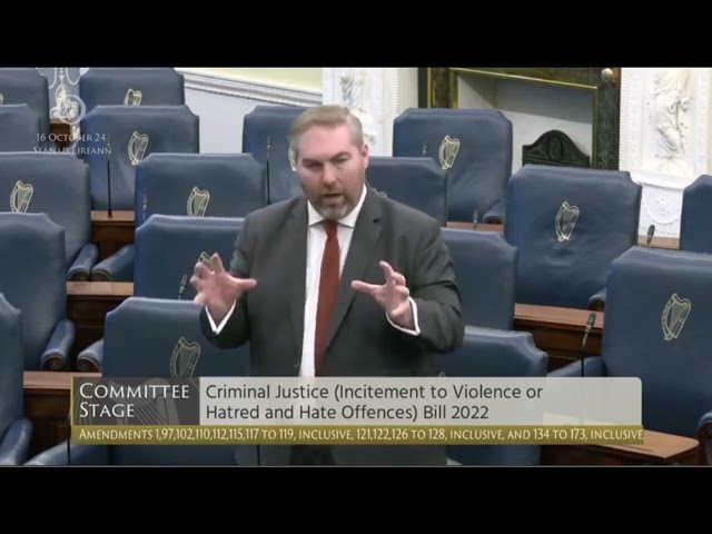 Irish Senator Barry Ward confirms the Irish are second class citizens ...