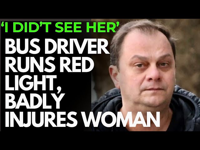 DUBLIN – BULGARIAN BUS DRIVER IN HORROR CRASH, WANTS TO KEEP LICENCE ...