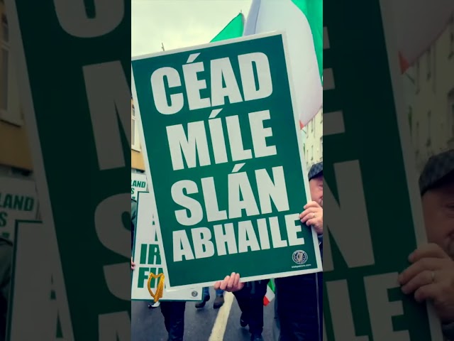 Cork City Council Remove thousands of Irish Flags! Cork Rebels Re-Erect ...